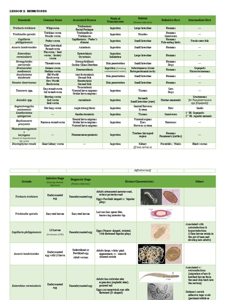 Nematode Common Name Associated Disease Mode of Transmission Habitat ...