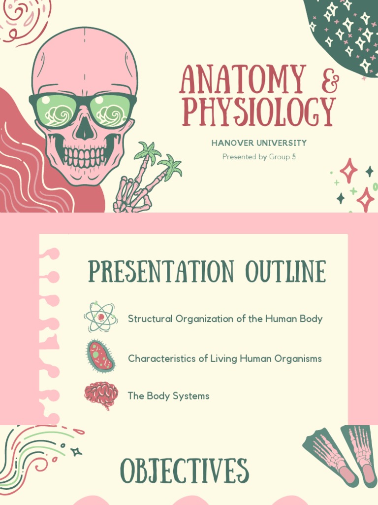 Colorful Pink and Green Vintage Illustration Anatomy & Physiology ...