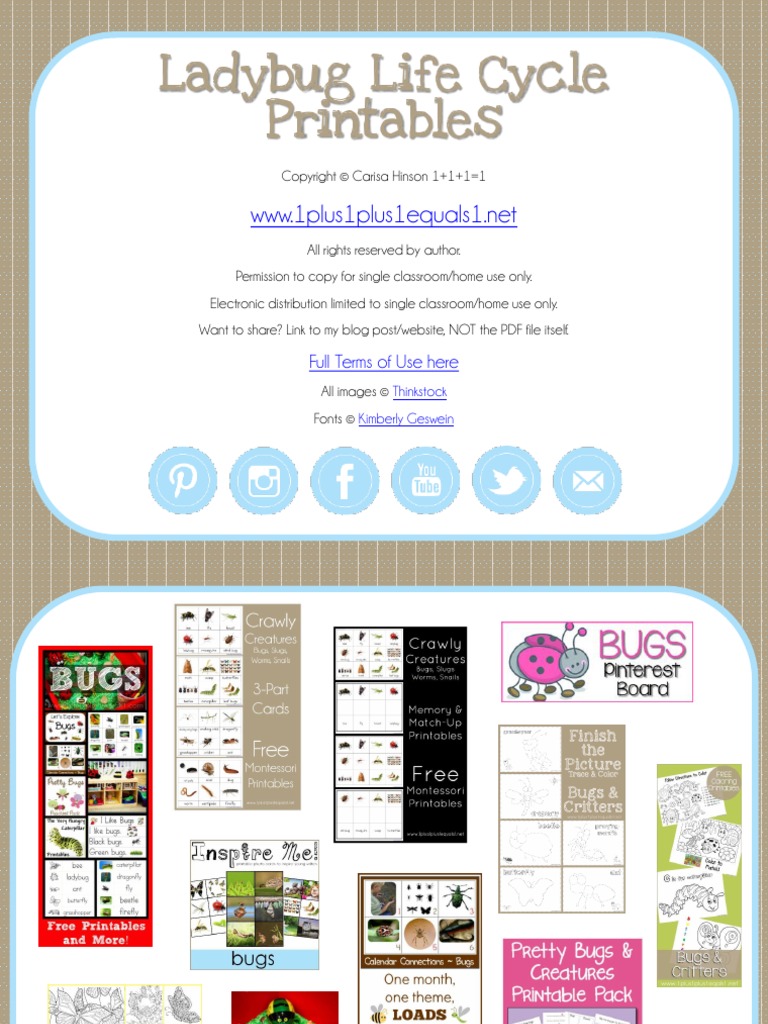 Ladybug Life Cycle Printables: Full Terms of Use Here | PDF