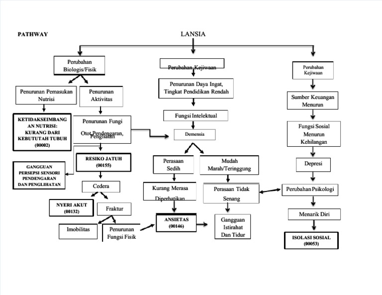 PDF Pathway Lansia - Compress | PDF