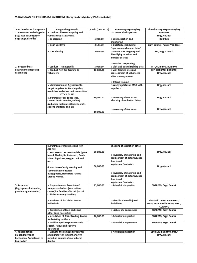V. Kabuuan NG Programa Sa BDRRM (Batay Sa Detalyadong Ppas Sa Ibaba) | PDF