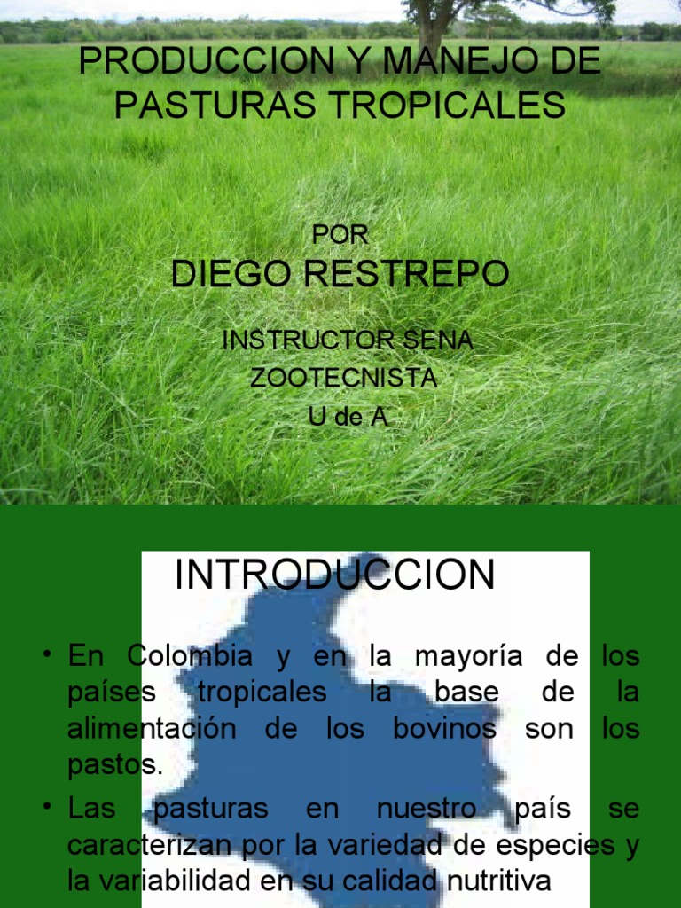 Produccion y Manejo de Pasturas Tropicales | PDF | Raíz | Tallo de la ...