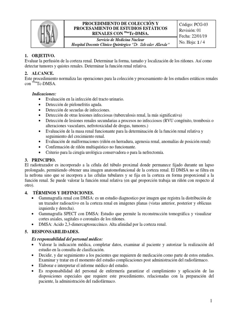 PCG-03 - Gammagrafía Renal Estática DMSA - Rev1 | PDF | Riñón ...