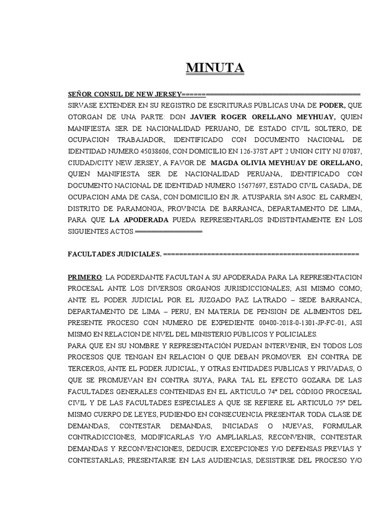 Minuta de Poder Especial | PDF | Esfera pública | Ley Pública