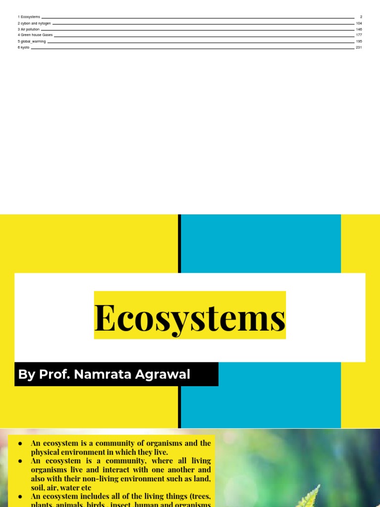 PDFsam Merge | PDF | Ecosystem | Atmosphere Of Earth