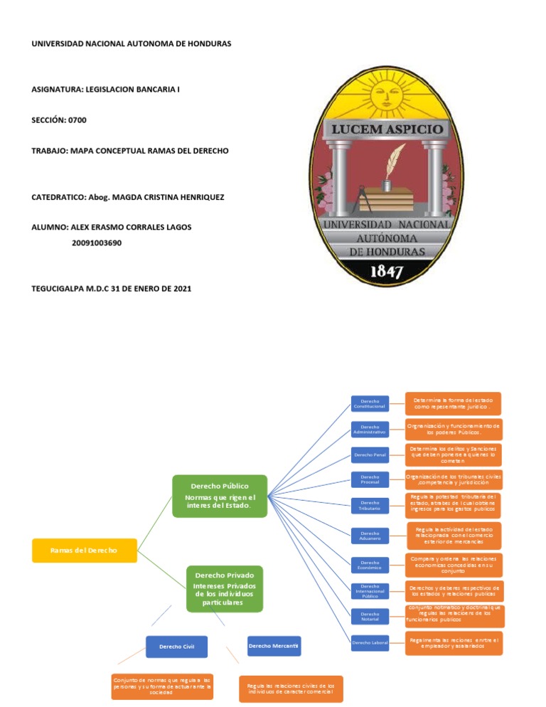 Mapa Conceptual Alex Corrales 20091003690 | PDF | Ley Pública | Ley procesal