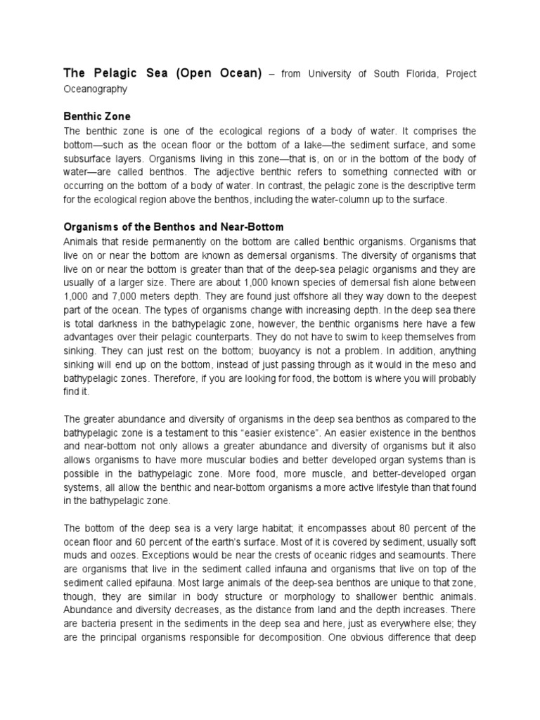 The Pelagic Sea (Open Ocean) : Benthic Zone | PDF | Hydrology | Marine ...