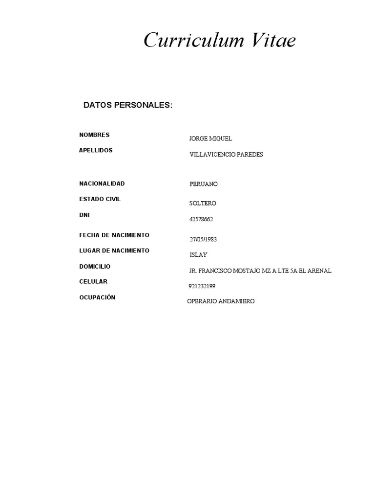 Curriculum Vitae Jorge | PDF