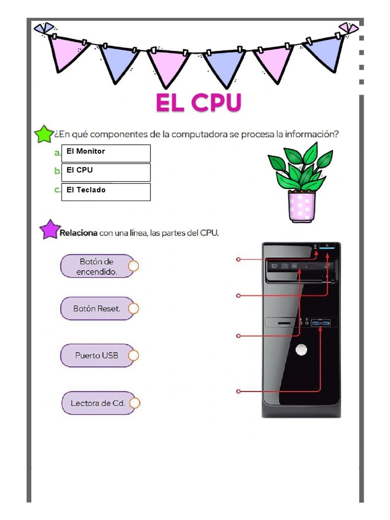 Actividad El Cpu 3-4-5-6 Grado | PDF
