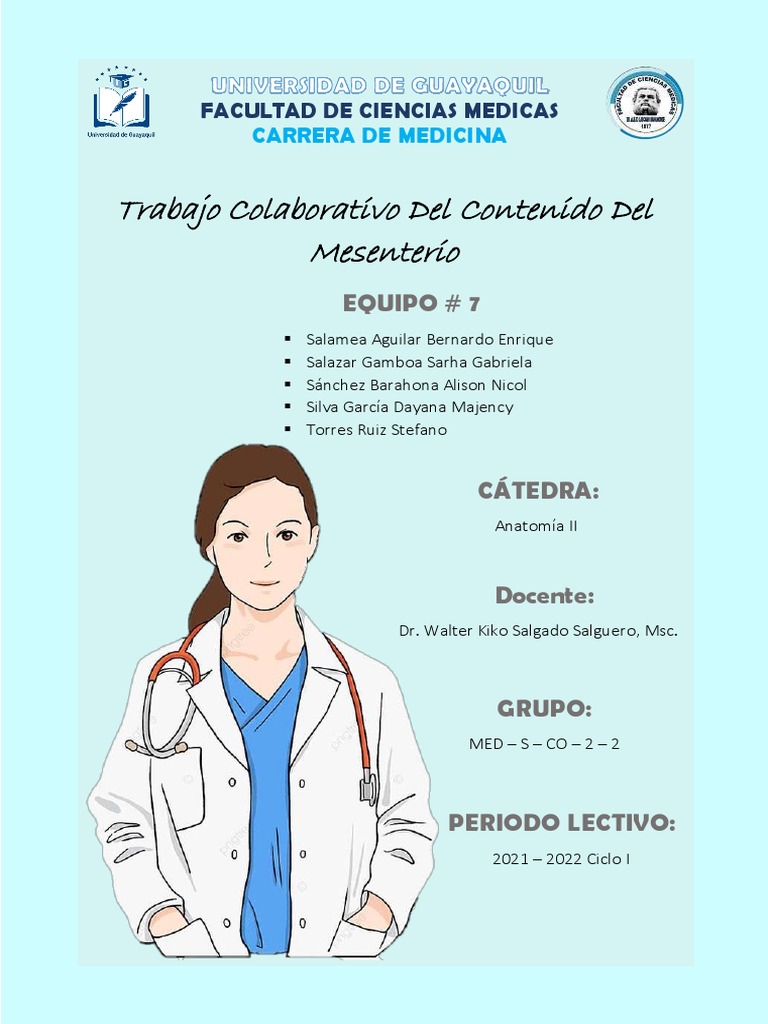 Estructura y Función del Mesenterio | PDF | Sistema digestivo ...
