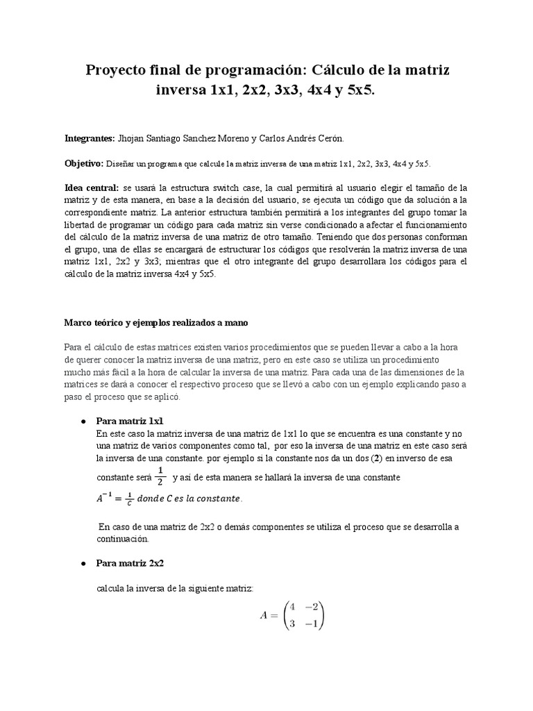 Informe Proyecto Final Programacion | PDF | Matriz (Matemáticas) | Determinante