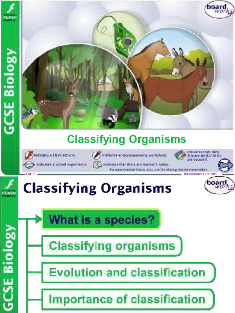 Classifying Organisms: 1 of 33 © Boardworks LTD 2011 | PDF | Evolution ...