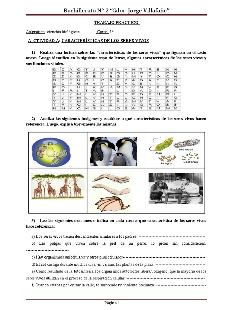 Caracteristicas de Seres Vivos | PDF | Organismos | Biología Celular)