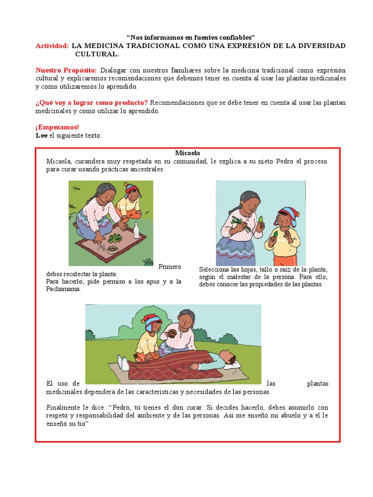 Día 3 La Medicina Tradicional Como Una Expresión de La Diversidad ...