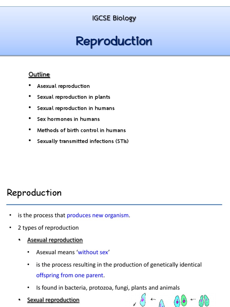 IGCSE Reproduction | PDF | Flowers | Sexual Reproduction