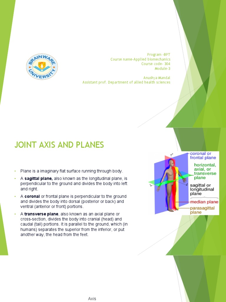 Joint Axis Plans | PDF | Anatomical Terms Of Motion | Arthritis