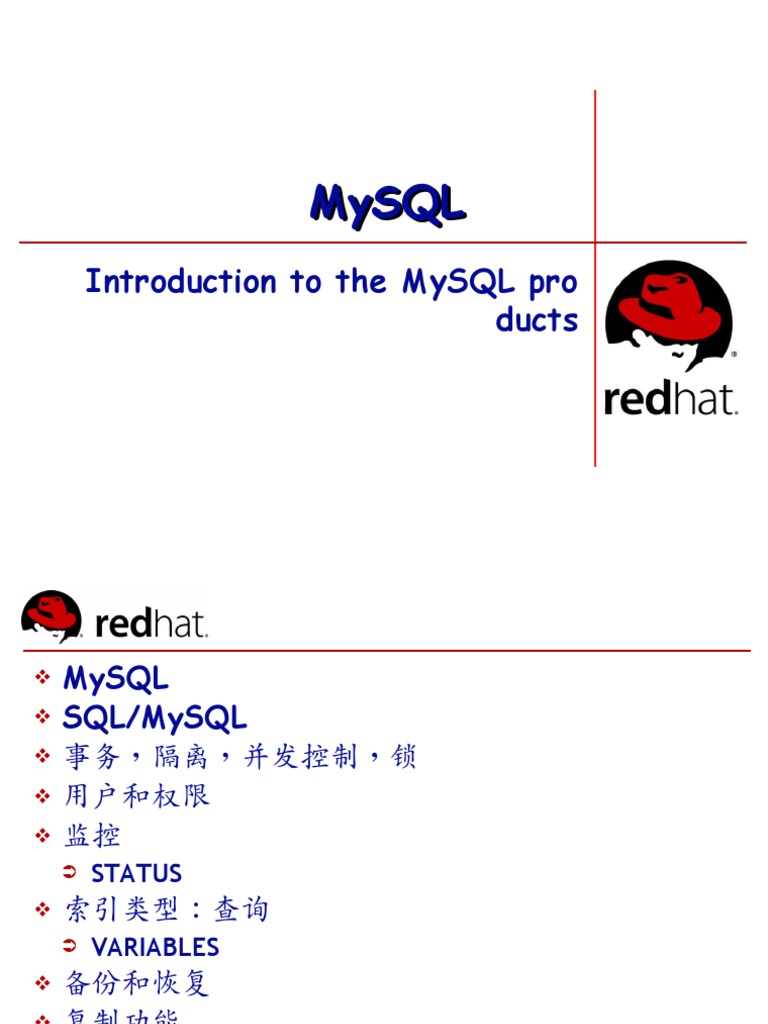 MySQL Chapter 1 | PDF