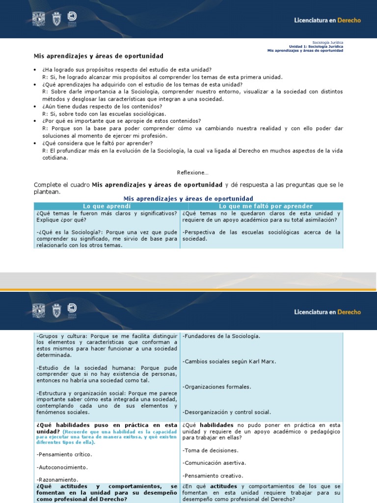 Mis Aprendizajes y Áreas de Oportunidad (Unidad 1) | PDF | Sociedad ...