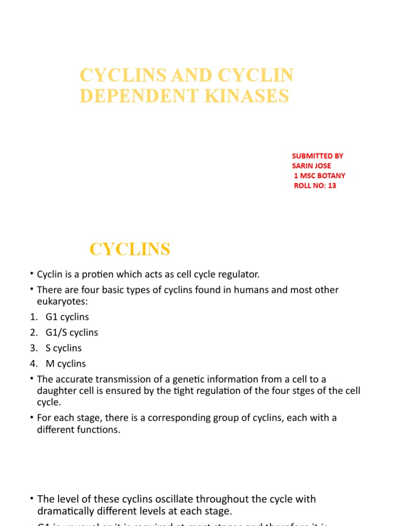 Cyclins and Cyclin Dependent Kinases | PDF | Cell Cycle | Mitosis