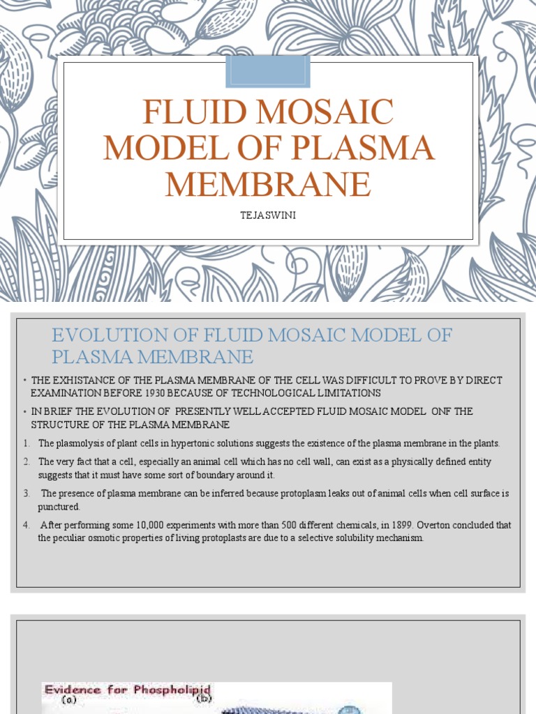 Fluid Mosaic Model of Plasma Membrane | PDF | Cell Membrane | Biophysics