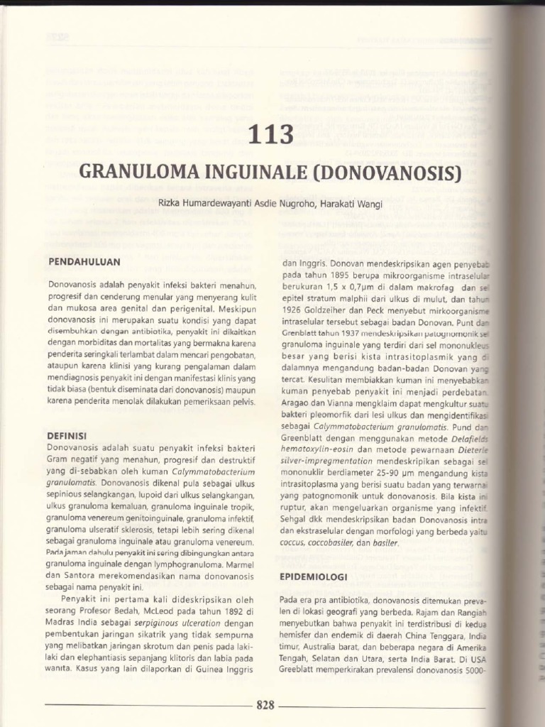 Granuloma Inguinale | PDF