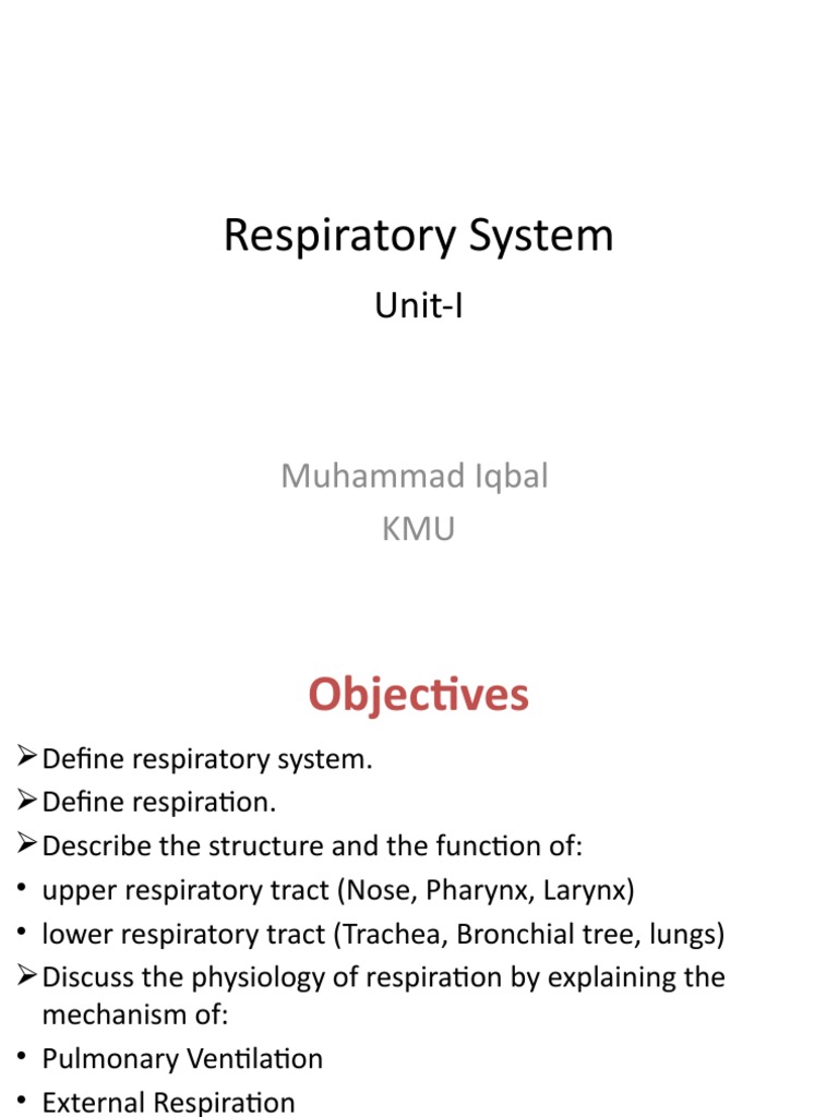 Respiratory System Cop | PDF | Lung | Respiratory Tract