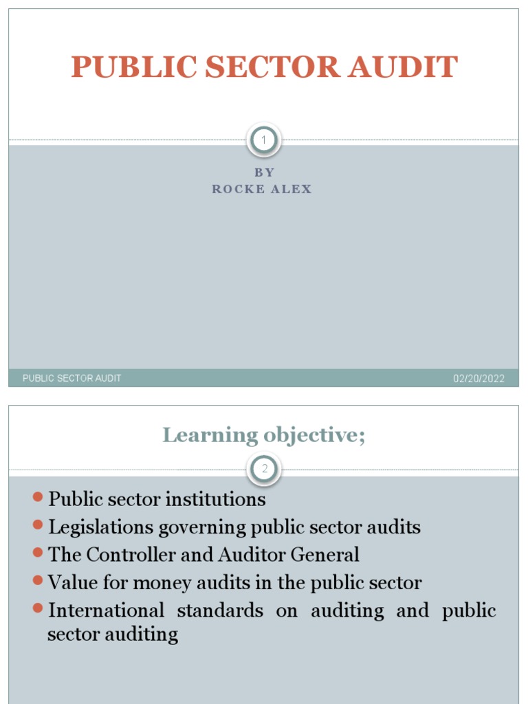 Public Sector Audit: BY Rocke Alex | PDF | Audit | Government