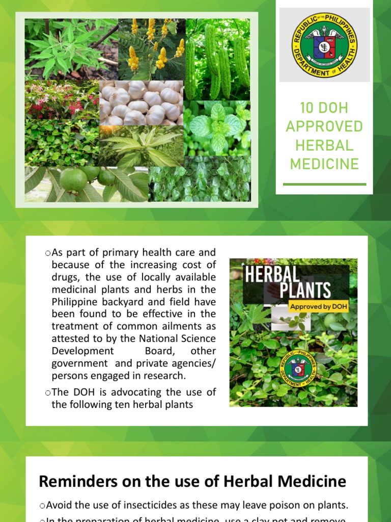 Herbal Plants | PDF | Clinical Medicine | Medicine
