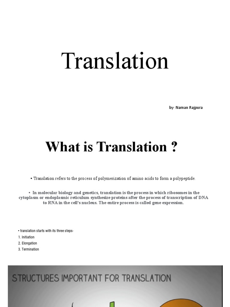 A Comprehensive Overview of the Three Step Translation Process from ...