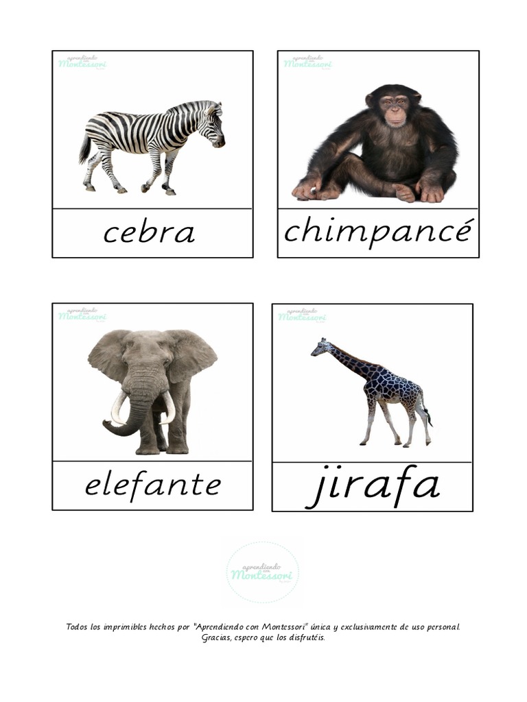 Animales Salvajes | PDF