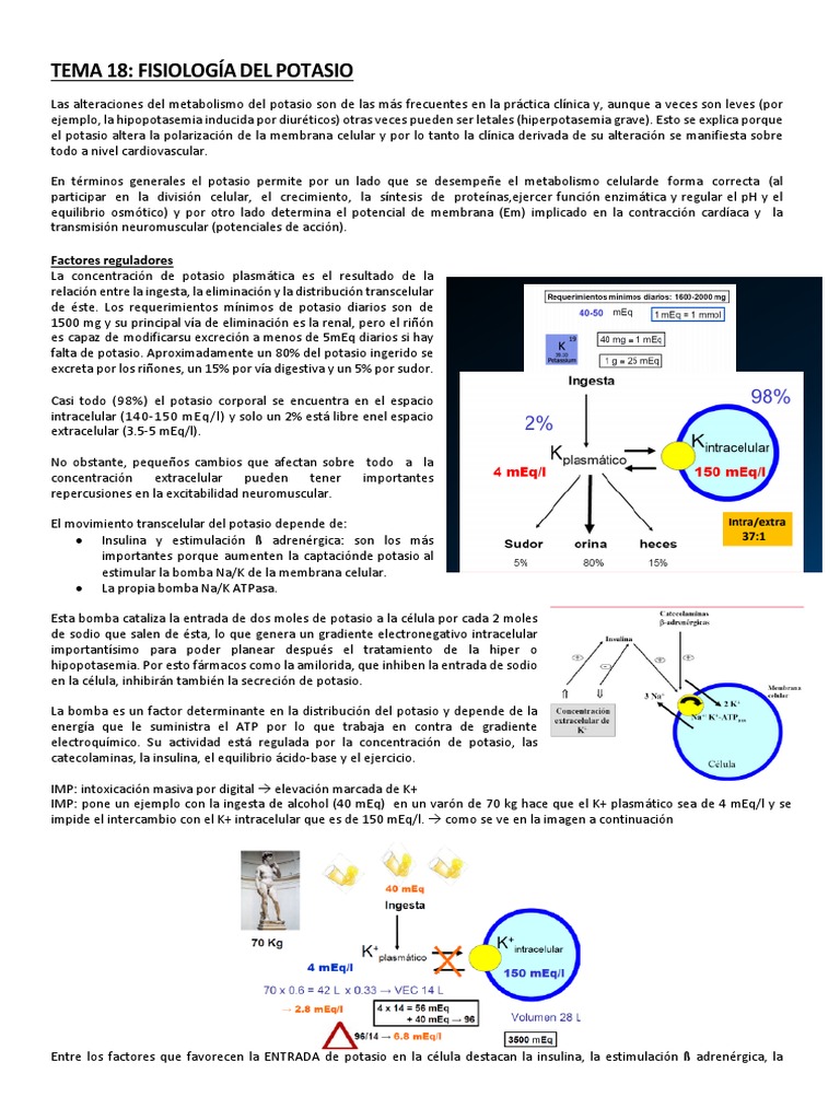 Fisiología Del Potasio | PDF | Potasio | Química