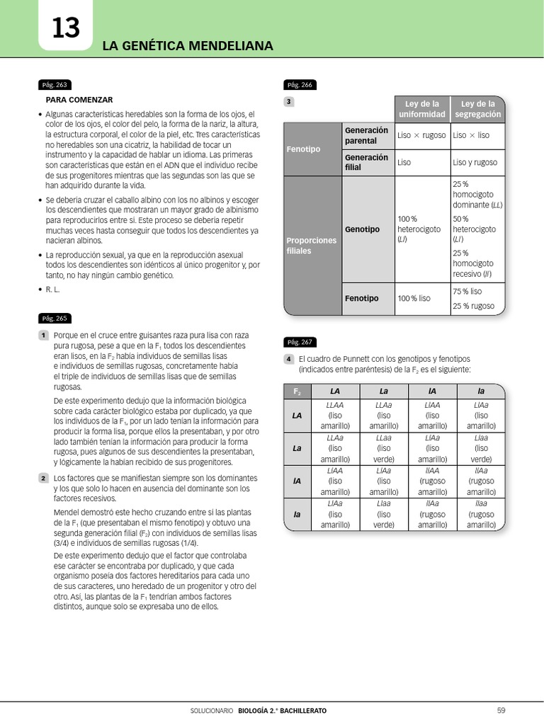 Tema 13 La Genetica Mendeliana | PDF | Dominancia (Genética) | Ciencias ...