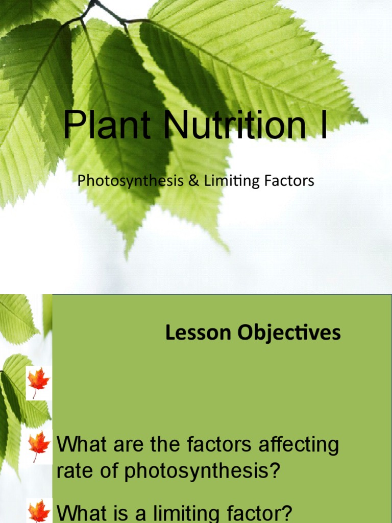 Photosynthesis: Limiting Factors Explained | PDF | Carbon Dioxide | Enzyme