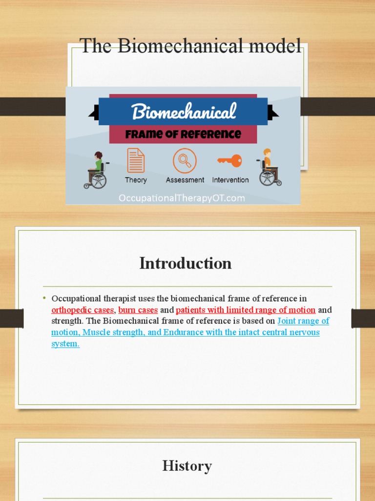 The Biomechanical Model | PDF | Anatomical Terms Of Motion | Biomechanics