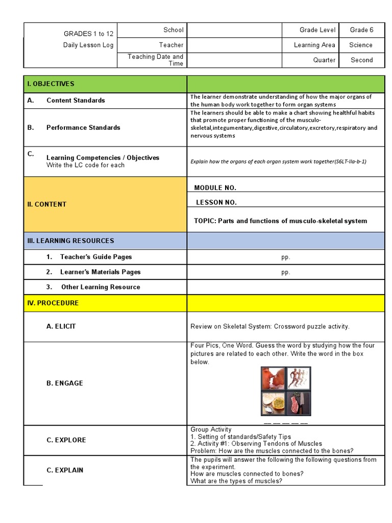 SAMPLE DLP ON PBL UISNG 7es | PDF | Skeletal Muscle | Human Musculoskeletal System