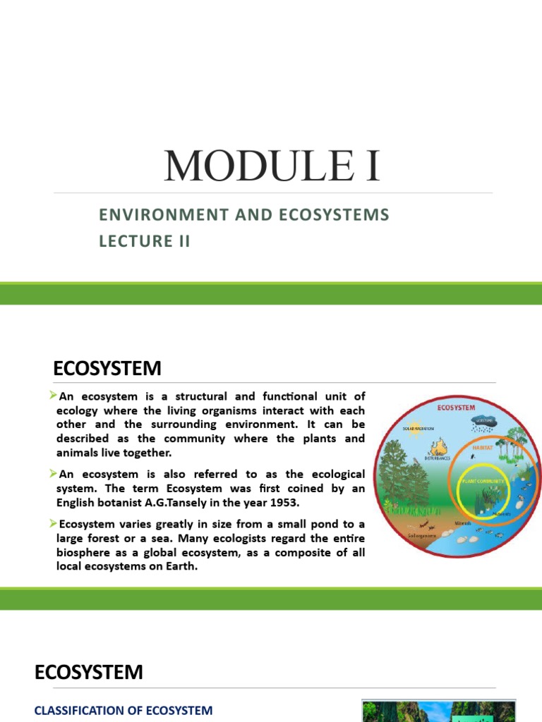 Lecture 2 Ecosystem | PDF | Ecosystem | Food Web