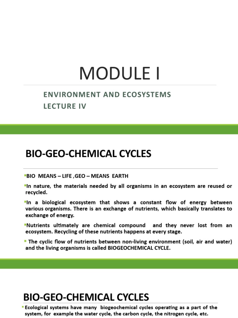 Lecture 4,5 Bio Geo Chemical Cycle | PDF | Eutrophication | Ecosystem