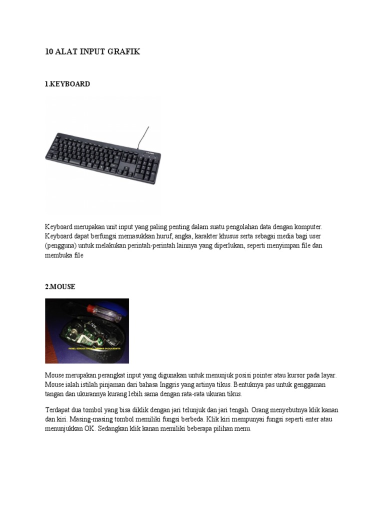 Alat Input dan Output Grafik | PDF