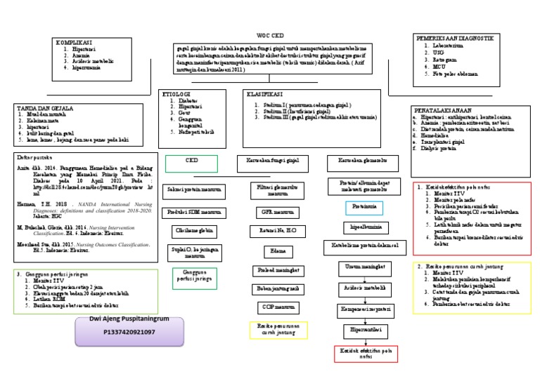 WOC-CKD - Dwi Ajeng | PDF