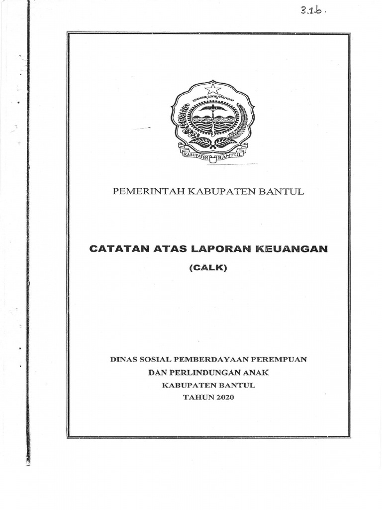 4.c Catatan Atas Laporan Keuangan 2020 PP Dan PA Kota Bntul | PDF