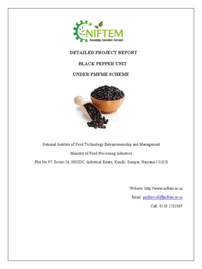 Blackpepper Detailed Project Report | PDF | Depreciation | Spice