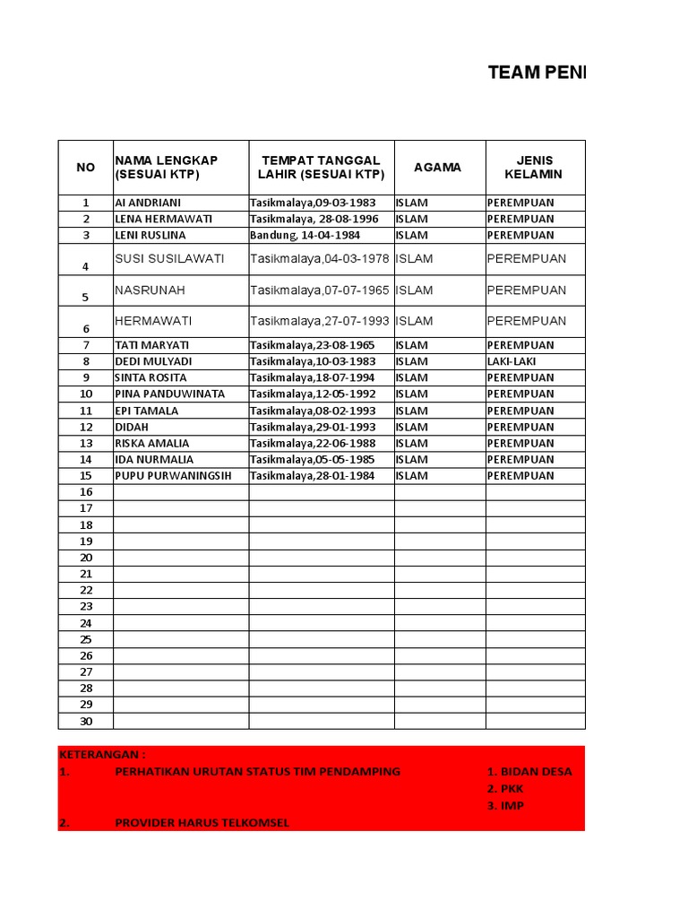 Contoh Laporan Tim Pendamping Keluarga | PDF