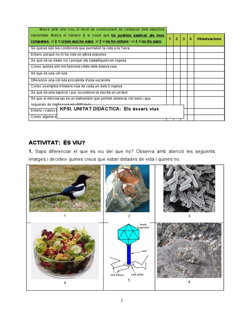 1 - KPSI Inicial + Act 1 - Essers - Vius | PDF