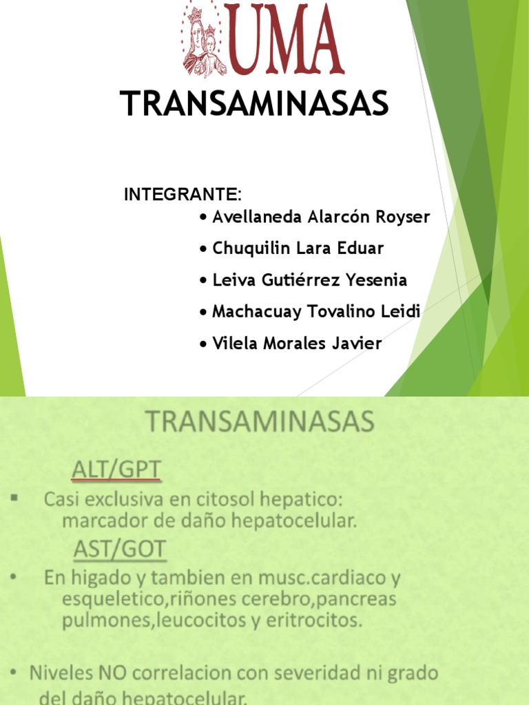 Hipertransaminasemia CASO CLINICO | PDF | Hepatitis | Transaminasa