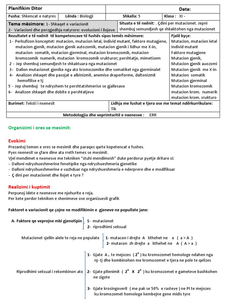35 + 36 Ditari | PDF