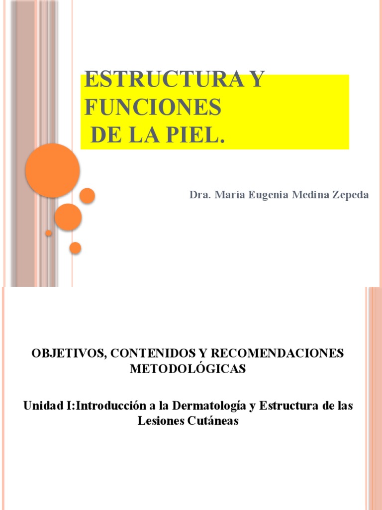 Estructura y Funciones de La Piel | PDF | Piel | Epidermis