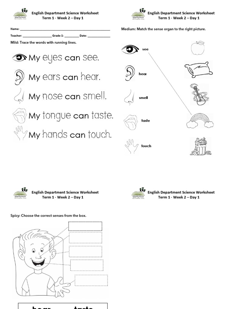 Grade 1 - Term1 - Week2 - Day1 - Worksheet | PDF | Language Arts ...