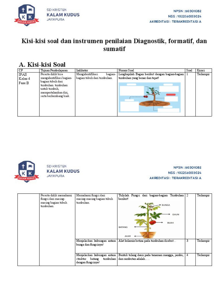 Kisi-Kisi Soal Dan Instrumen Penilaian Diagnostik, Sumatif, Formatif | PDF