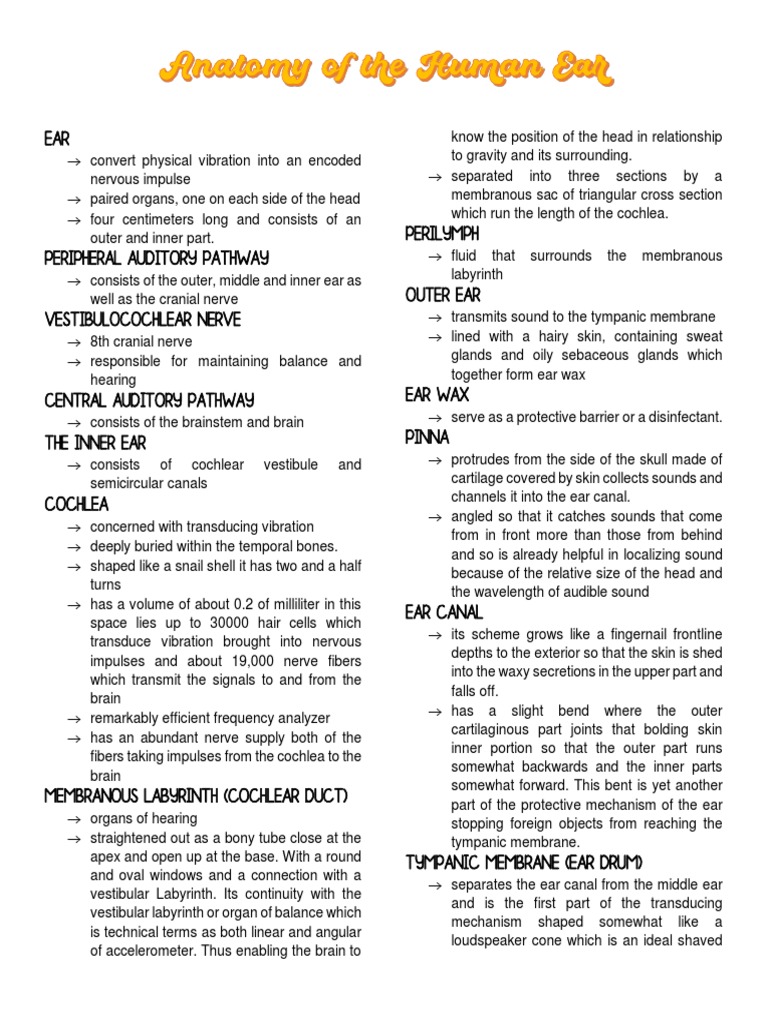 Anatomy of The Human Ear | PDF | Ear | Hearing