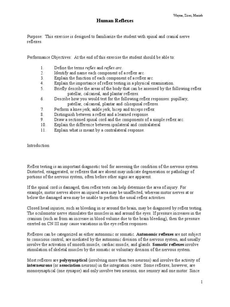 Human Reflexes | PDF | Autonomic Nervous System | Nervous System